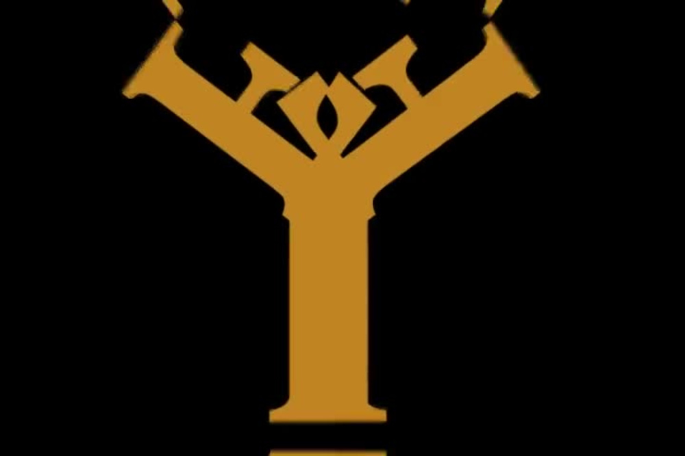 LOGO(Transparent & Mockups) | Logo Design & Branding | Upwork