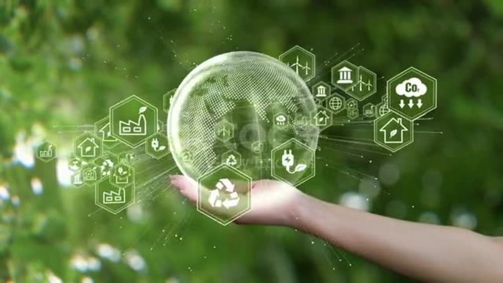 I will help write up carbon auditing/ carbon footprint report | Upwork