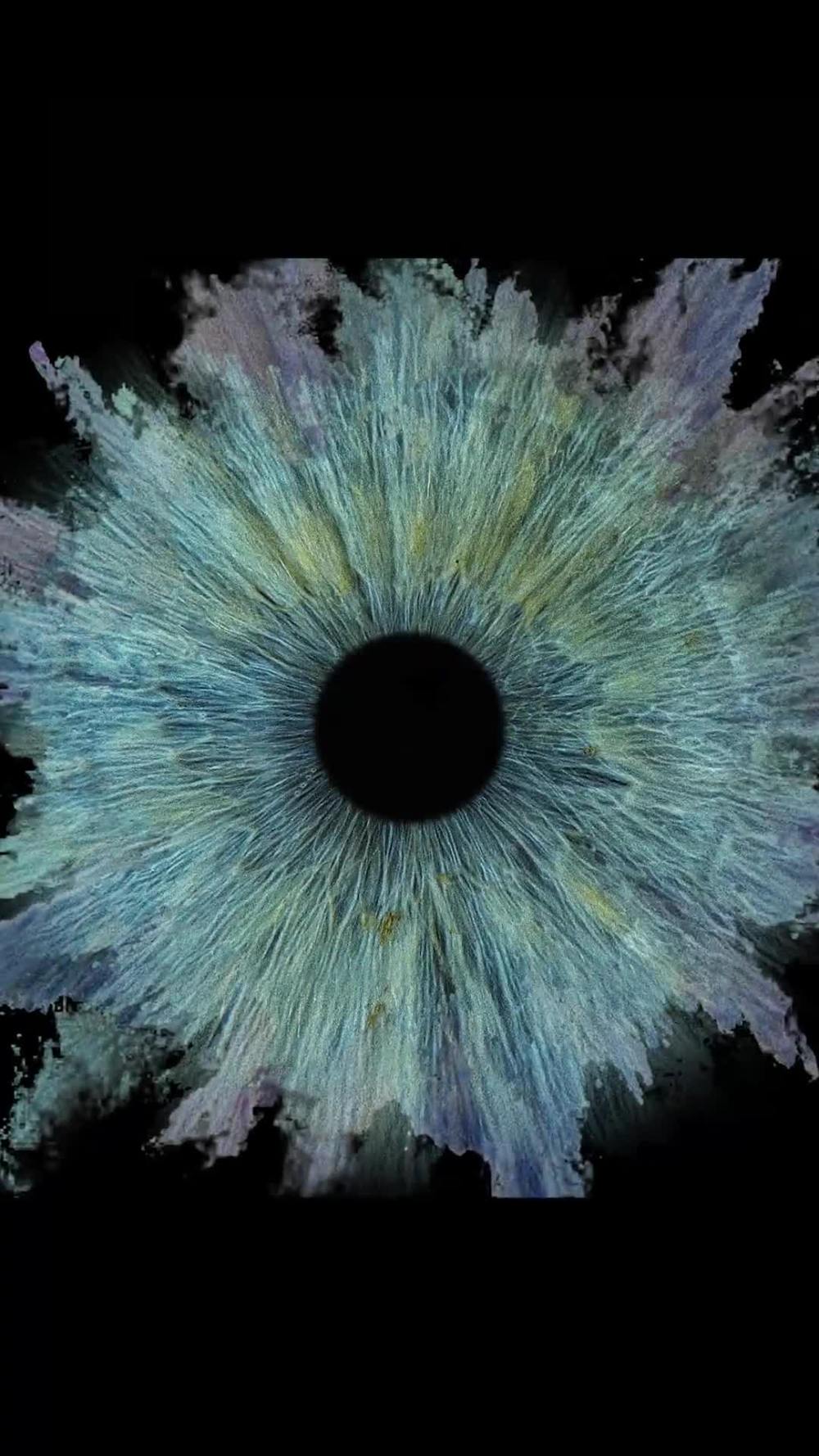 Professional artistic editing of your iris photo | Upwork