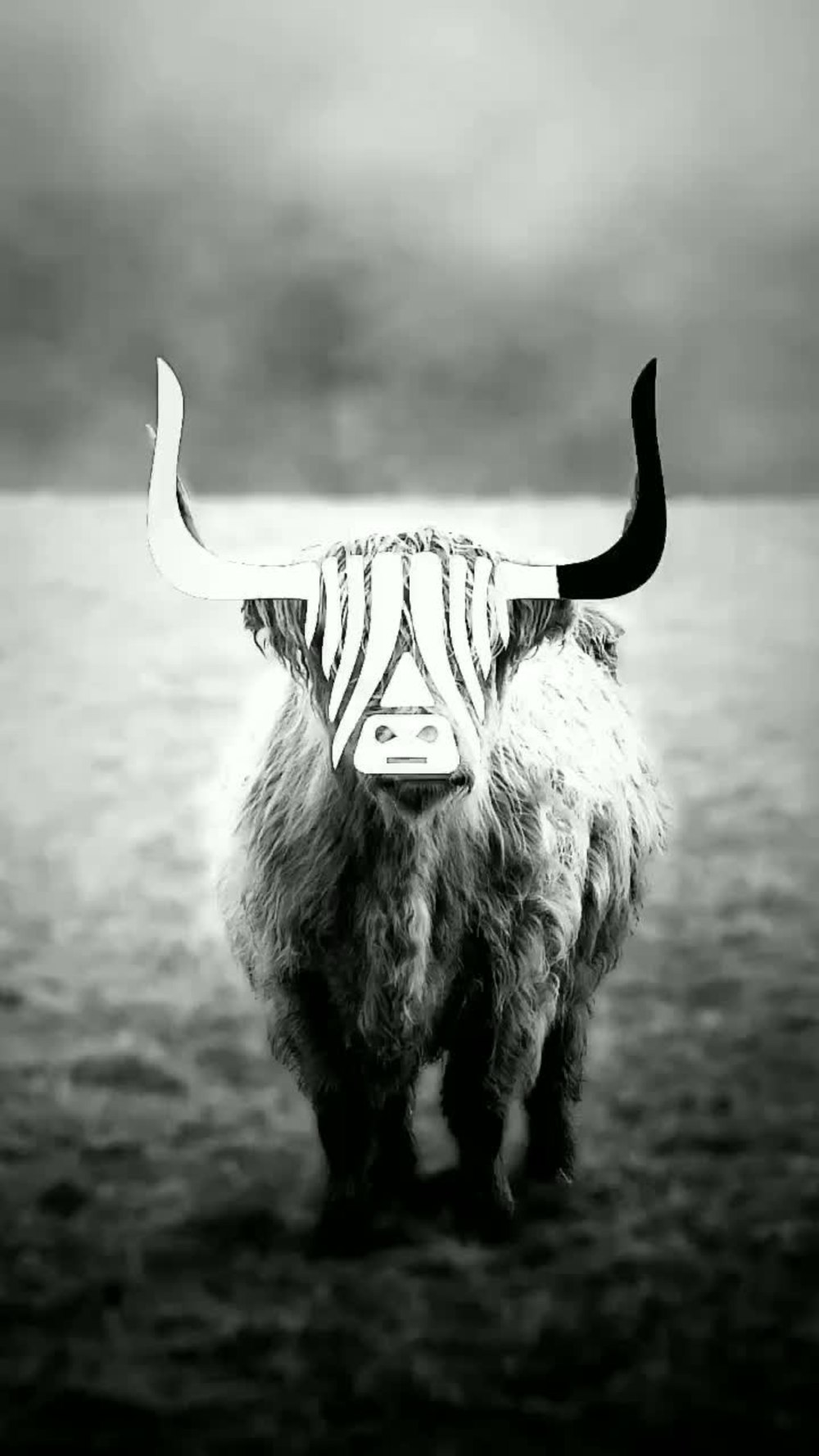 Vectorize ,Retrace and draw any logo/Image | Upwork