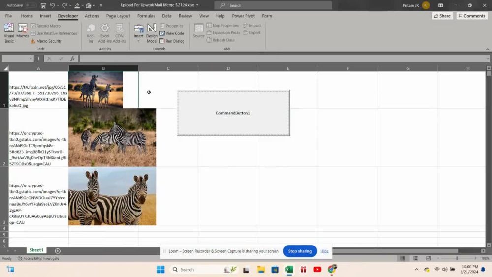 Excel Doc Formatting, Non-Editable PDF Document formatting, Layout ...