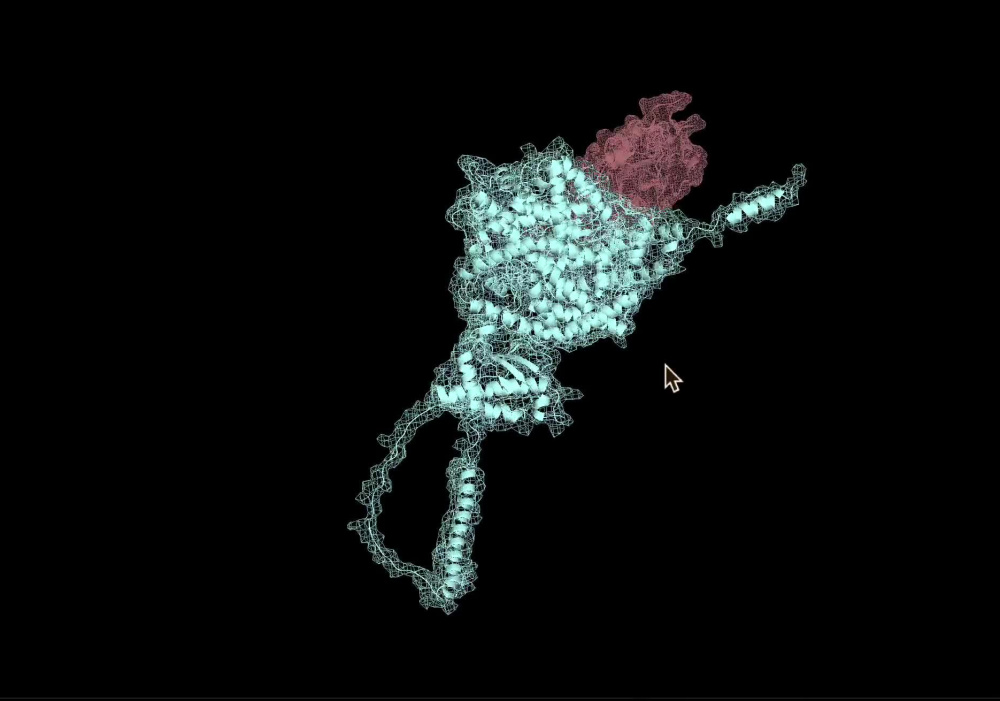 A fantastic redicted 3D protein models and their binding information ...