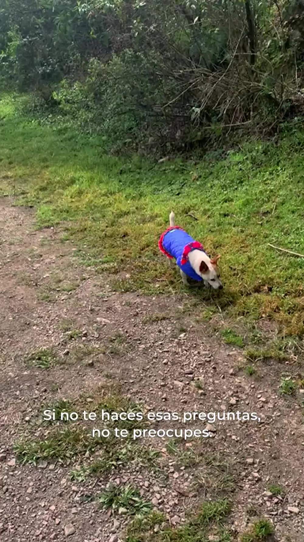 Achieve a more optimal profile and greater reach to your client ...