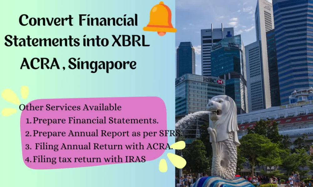 Convert financial statements into xbrl for singapore company | Upwork