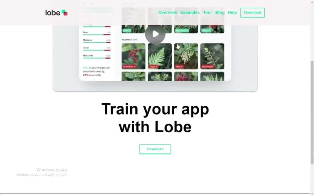 A meticulously designed fully responsive website | Upwork