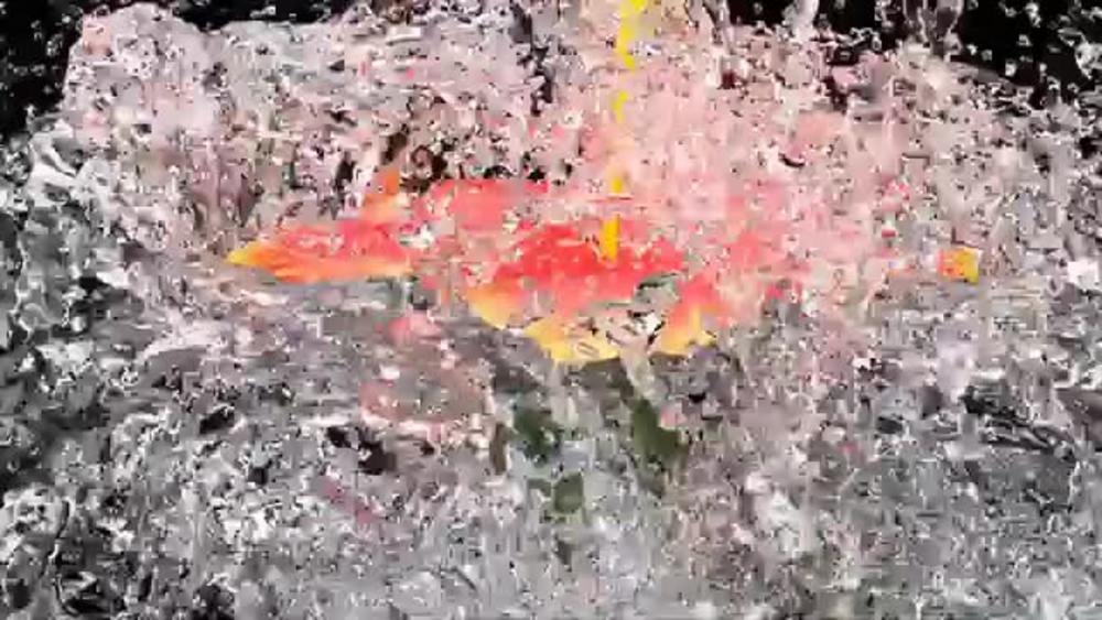A highly realistic 3d water simulation animation | Upwork