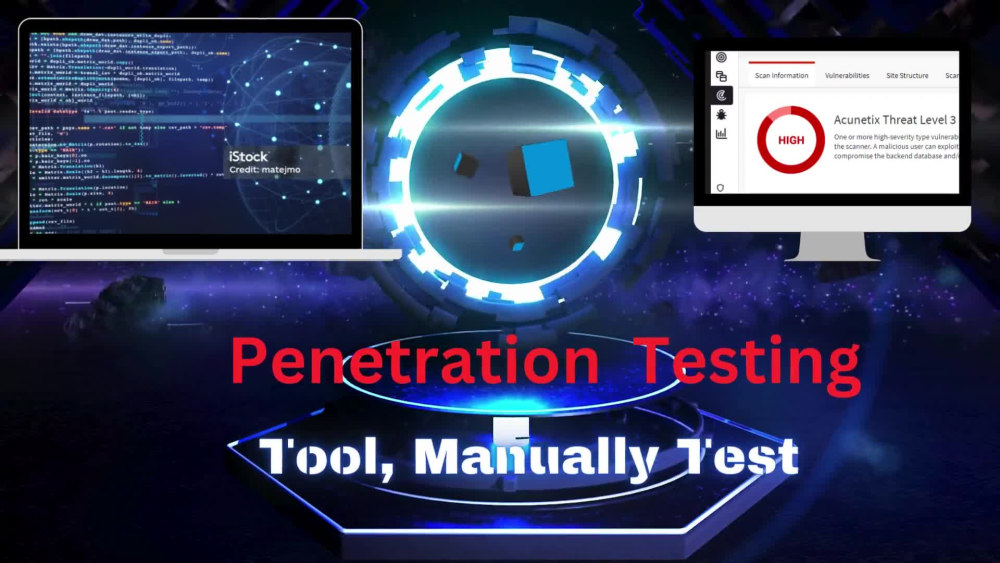 Professional Web Application Penetration Testing With Owasp Top 10
