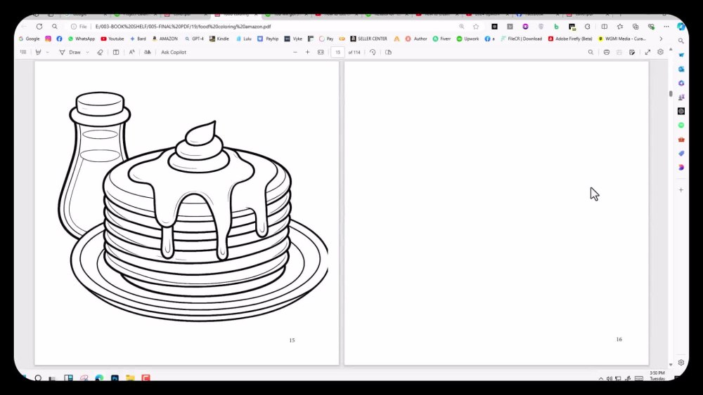 Coloring book illustrator for kdp kids and adults book cover and a plus ...