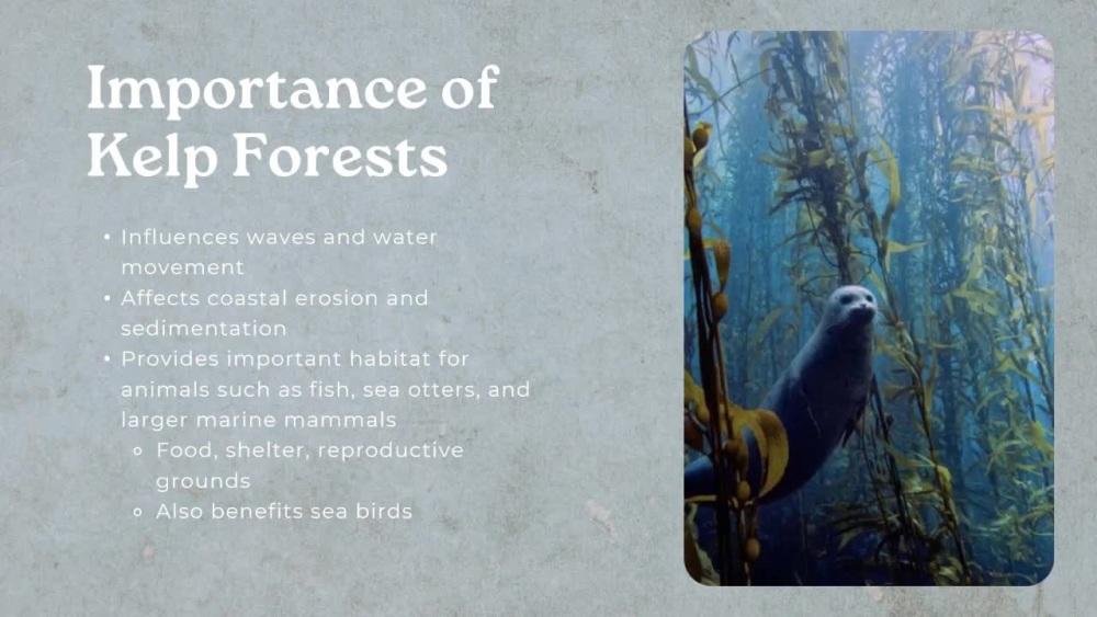 A visually cohesive presentation that is easily understood by any ...