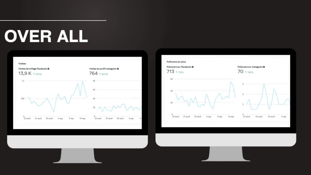 Maximized ROI with Results-Driven Meta Ad Campaigns | Upwork