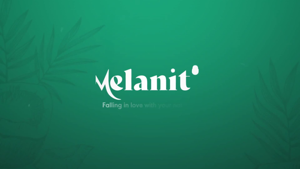 Well Crafted Pro Logo Animation | Upwork