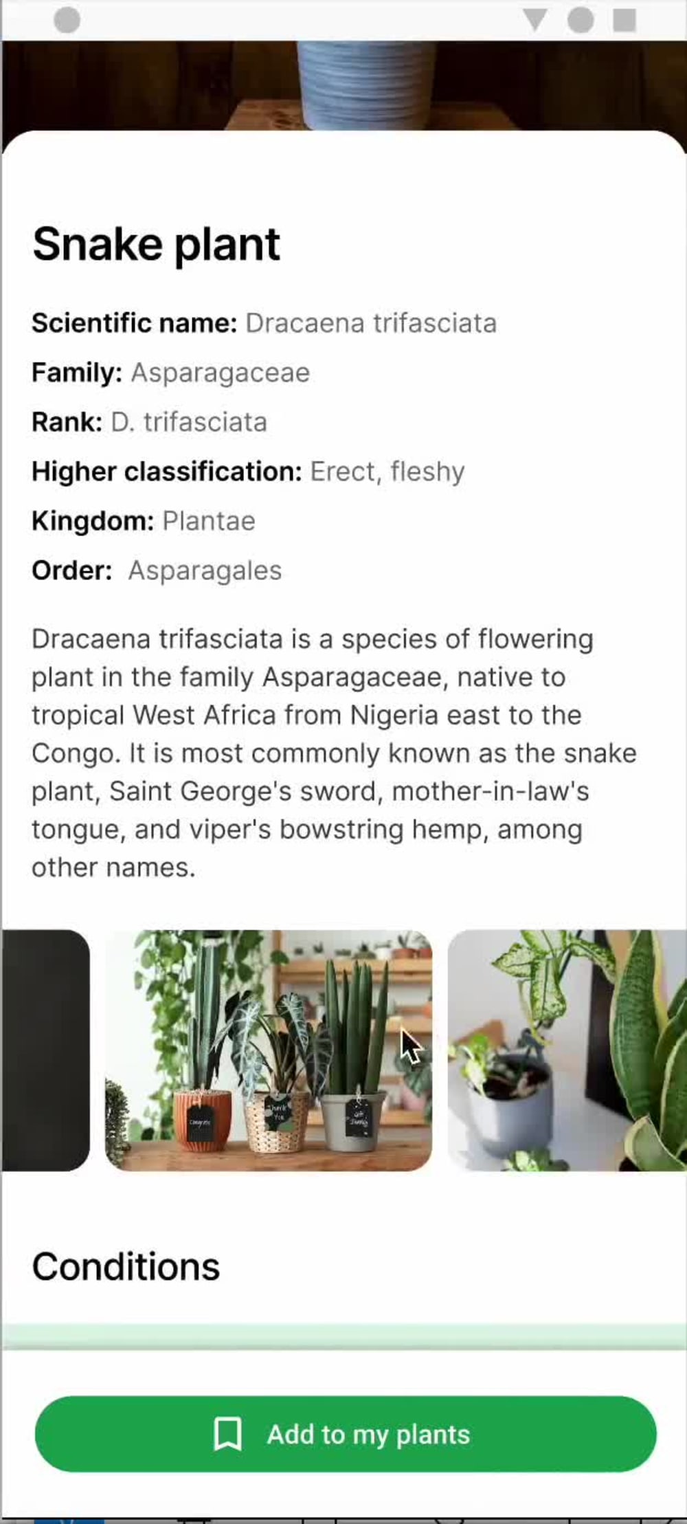 Plant Care & Reminder App UX/UI Design for Your Plant Care | Upwork