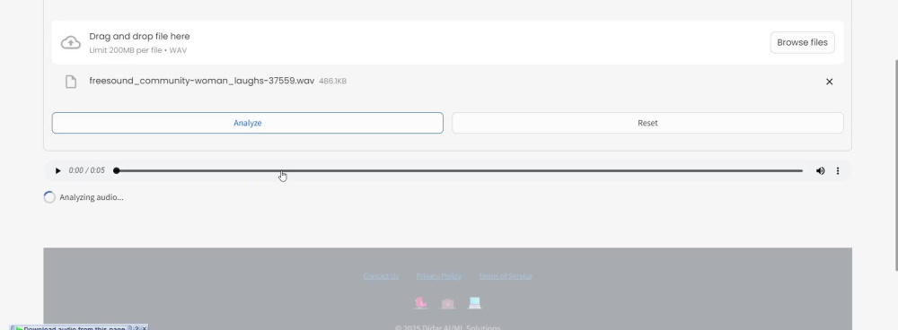 I will build a custom Machine Learning model in Python | Upwork