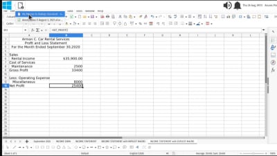 High quality & advanced data entry in Excel/LibreOffice at a low price ...