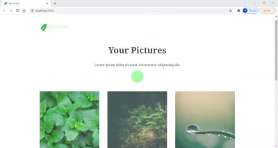 A Photo Gallery or Image Sharing Web App | Upwork