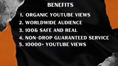 10000+ Organic youtube views for video promotion | Upwork