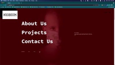 Your dream web app using React (Next Js) with Tailwind CSS | Upwork