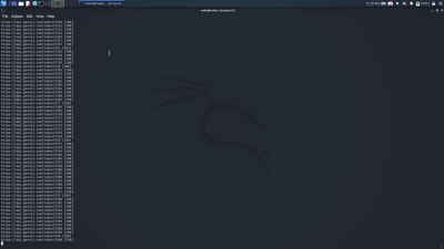 Book a Development & IT Consultation with Renan M. | Upwork