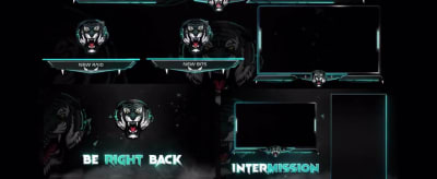 Custom Twitch Overlay For Your Stream | Upwork