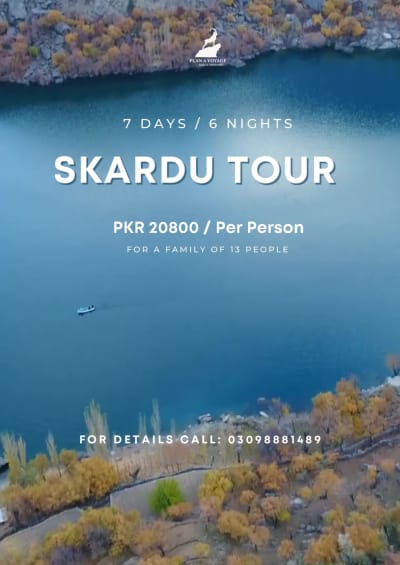 Your desired logo design for your business | Upwork