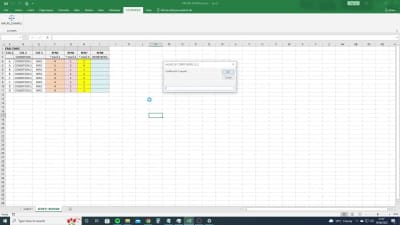 A personalised add-in to fulfill your need automatically, in excel | Upwork