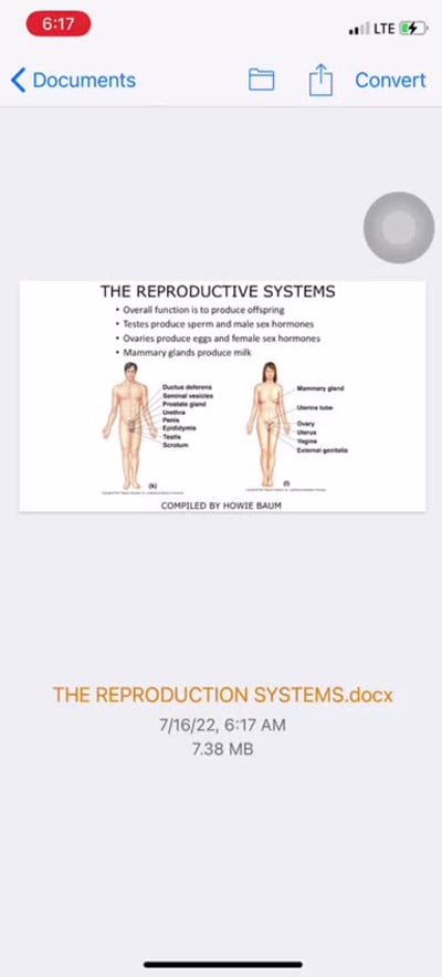 Your documents converted into any desired format | Upwork