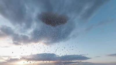 Super realistic 3D day & night environment animation for your product ...