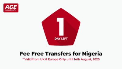 2d ads videos and motion graphics | Upwork