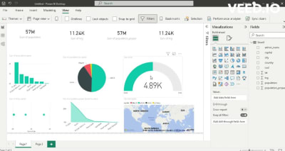 A professional graphs, charts and dashboards in Power bi | Upwork