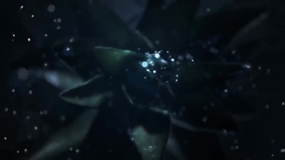 A realistic 3d flower animation and a flower modeling | Upwork