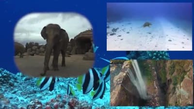 The perfect video for your youtube channel | Upwork