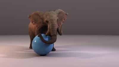 A realistic 3d animal animation, 3d animal character design | Upwork