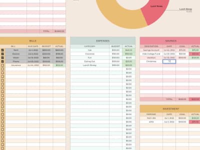 A live Interactive Dashboard for your Income and Expense Budget | Upwork