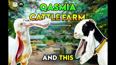 Video or Reel edited with a Catchy Thumbnail in under 2 days. | Upwork