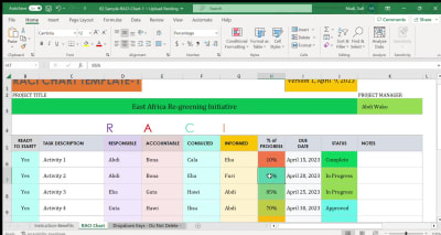 Dynamic RACI chart for your Business and project | Upwork