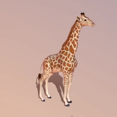 3d animal animation, 3d animal design, 3d animal model, 3d animal | Upwork