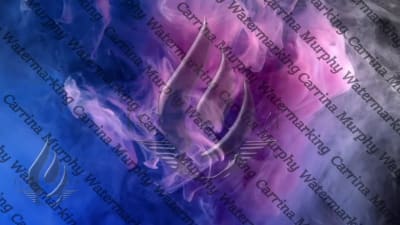 Your custom or existing watermark added to your photos and videos | Upwork