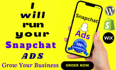 Highly profitable Snapchat ads campaign And FIX issues | Upwork