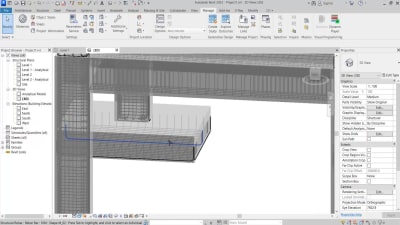 I will make your work easier in revit by writing dynamo scripts | Upwork