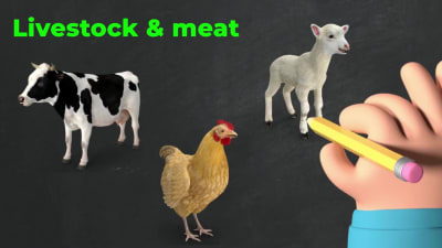 A 3d whiteboard animation explainer video | Upwork