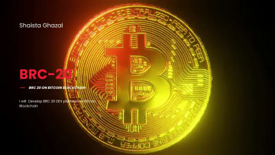 BRC 20 DEX platform on Bitcoin Blockchain | Upwork