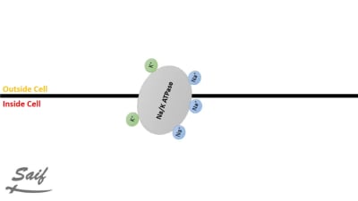 A fantastic Simple PowerPoint Animation for your diagram | Upwork
