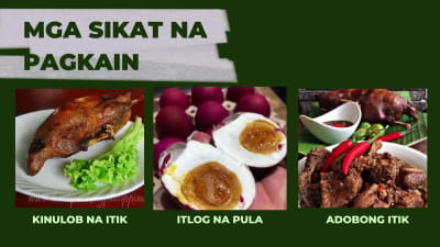 An amazing outcome, trust me! | Upwork