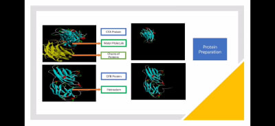 A Project on Molecular Docking and Molecular Dynamic Simulation | Upwork