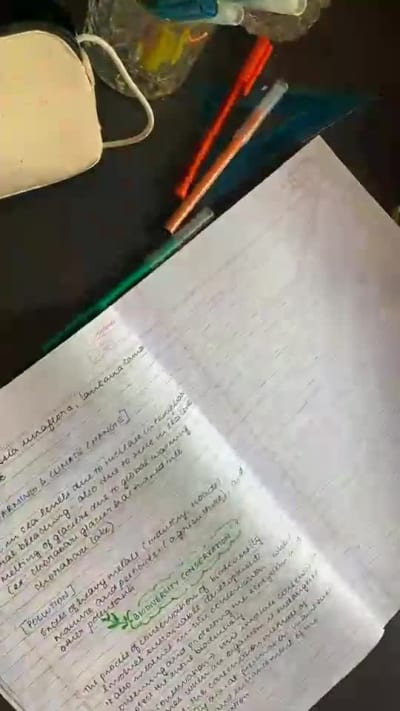 A neatly written work. | Upwork