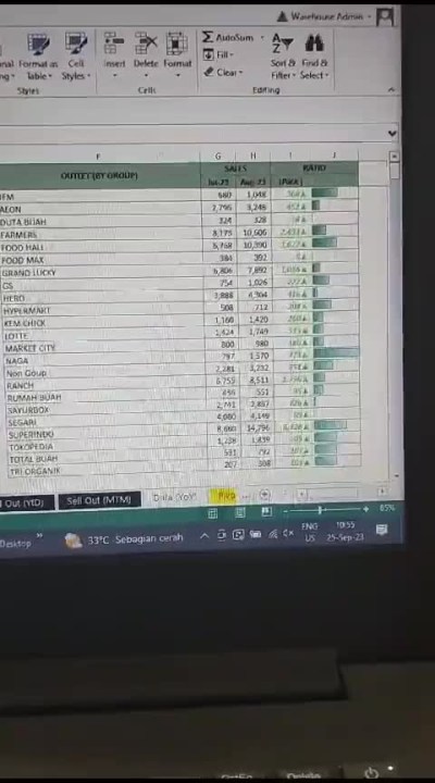 I can do data processing using Microsoft Excel | Upwork
