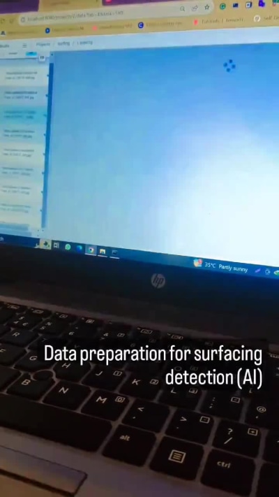 Machine learning deep learning computer vision image processing nlp text | Upwork