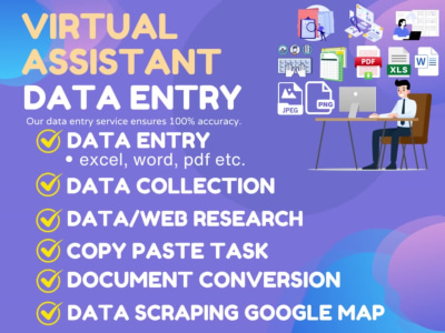 A Efficient Data Entry, Collection, Research, Conversion, Scraping | Upwork