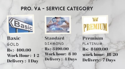 Virtual Assistant for Data Entry, File Conversion, Manual Typing,many ...