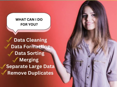 Data sorting, filter, formatting, merge, split, clean excel or CSV data | Upwork